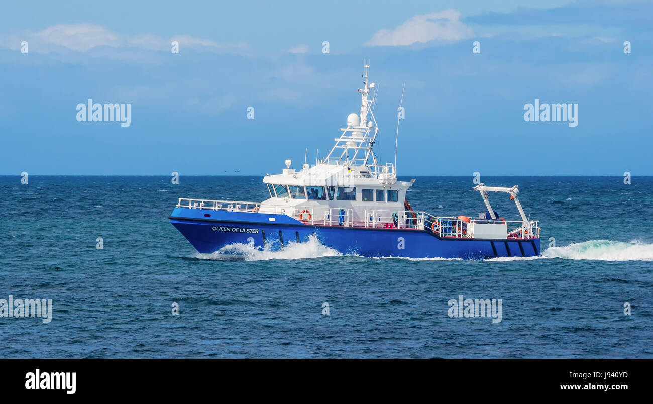 Queen of Ulster Stock Photo - Alamy