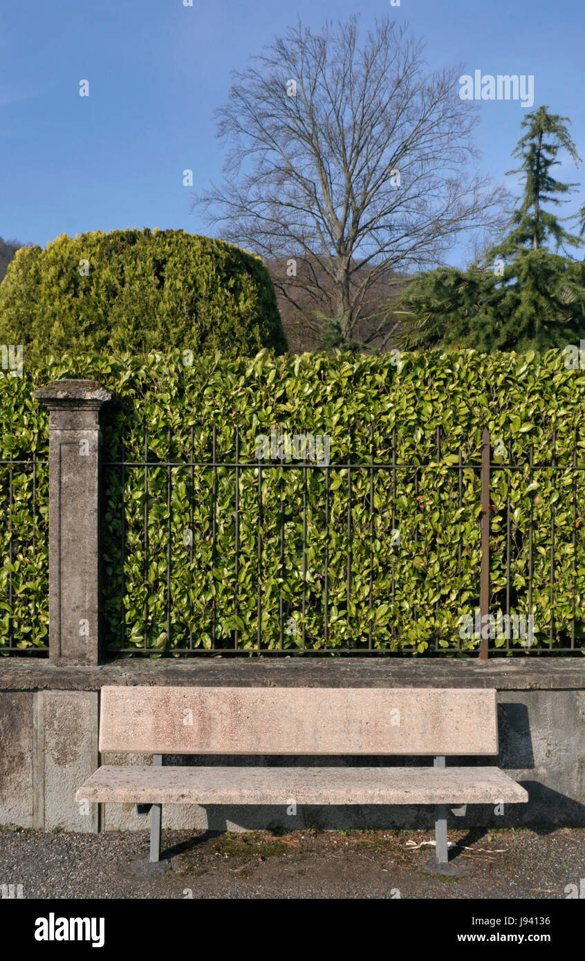 park, garden, shrub, hedge, vegetation, seat, bench, plant, park ...