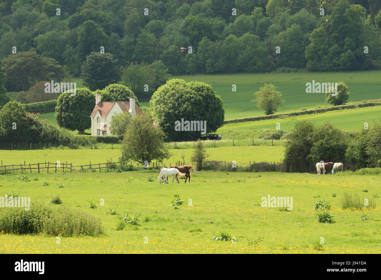 An English Rural Landscape in the Hambleden Valley in the Chiltern ...