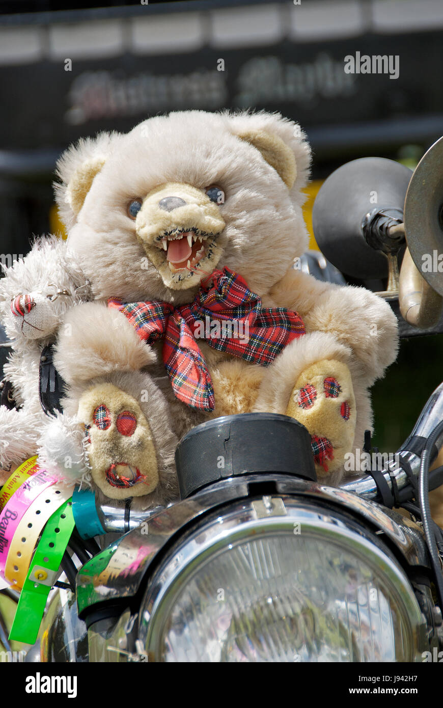 Rat bike hi-res stock photography and images - Alamy