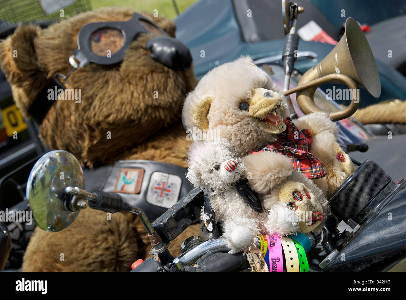 Rat on bike hi-res stock photography and images - Alamy