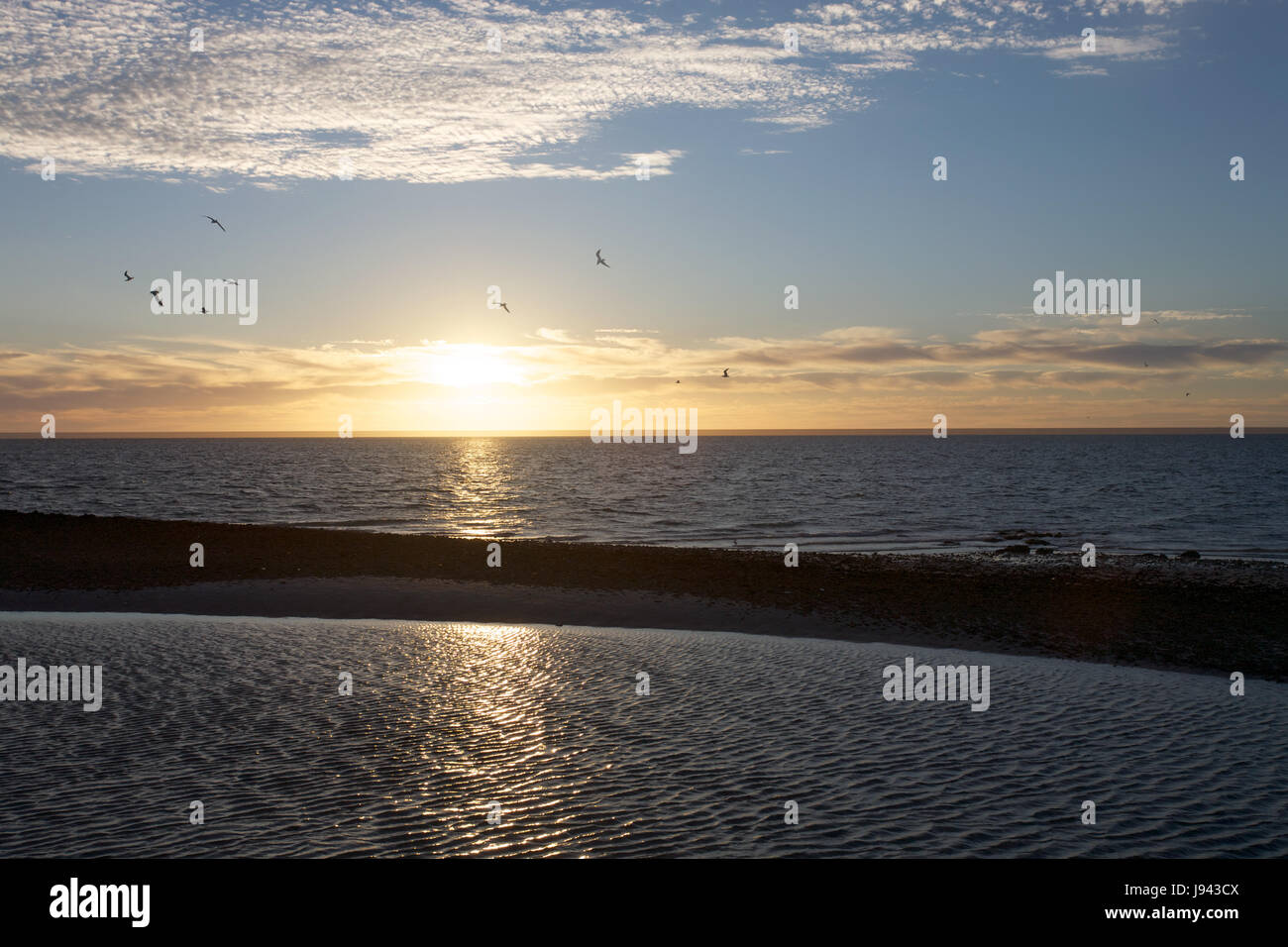 blue, sunset, cloud, beach, seaside, the beach, seashore, sunlight ...