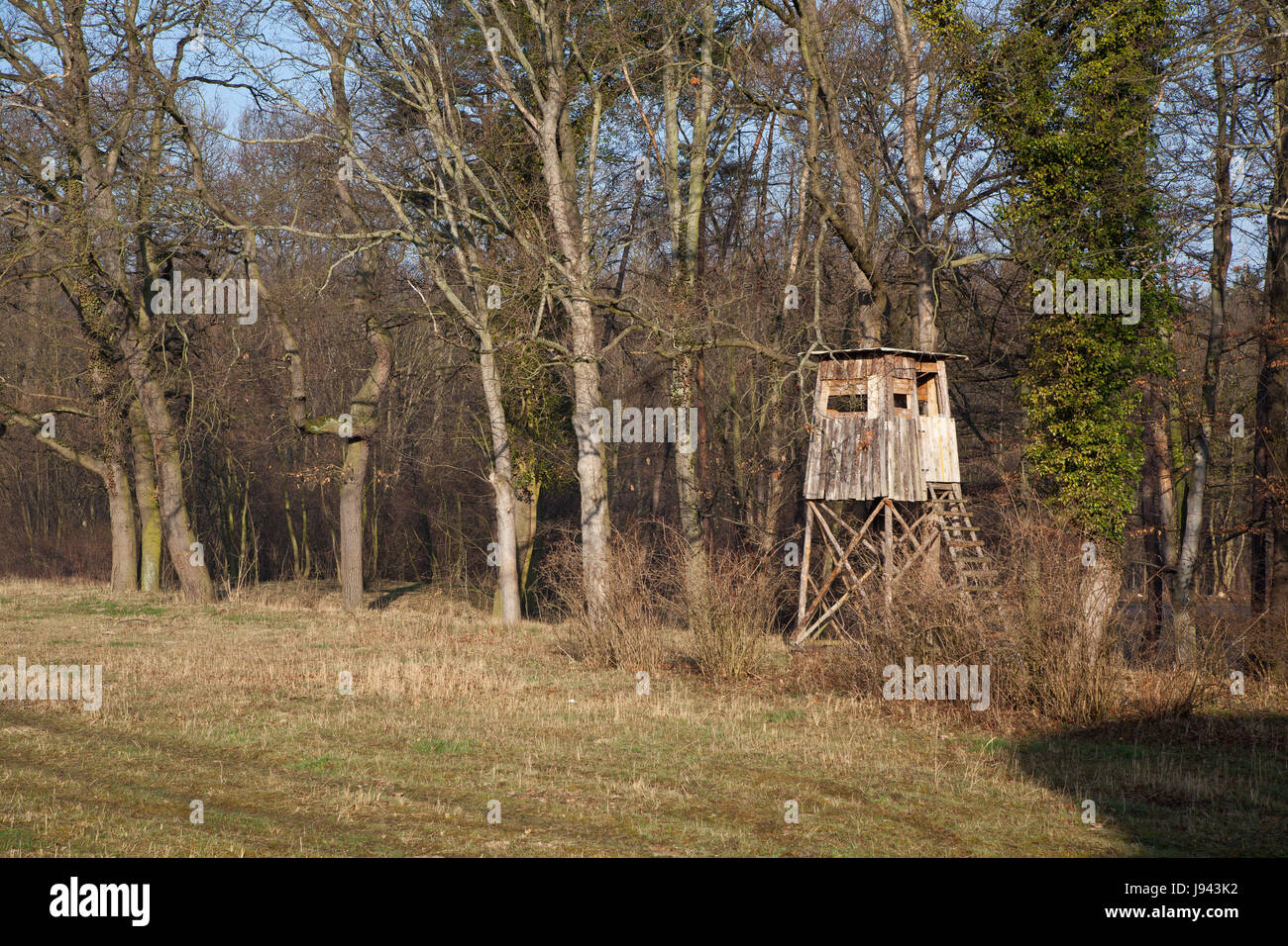 The hunting ground hi-res stock photography and images - Alamy