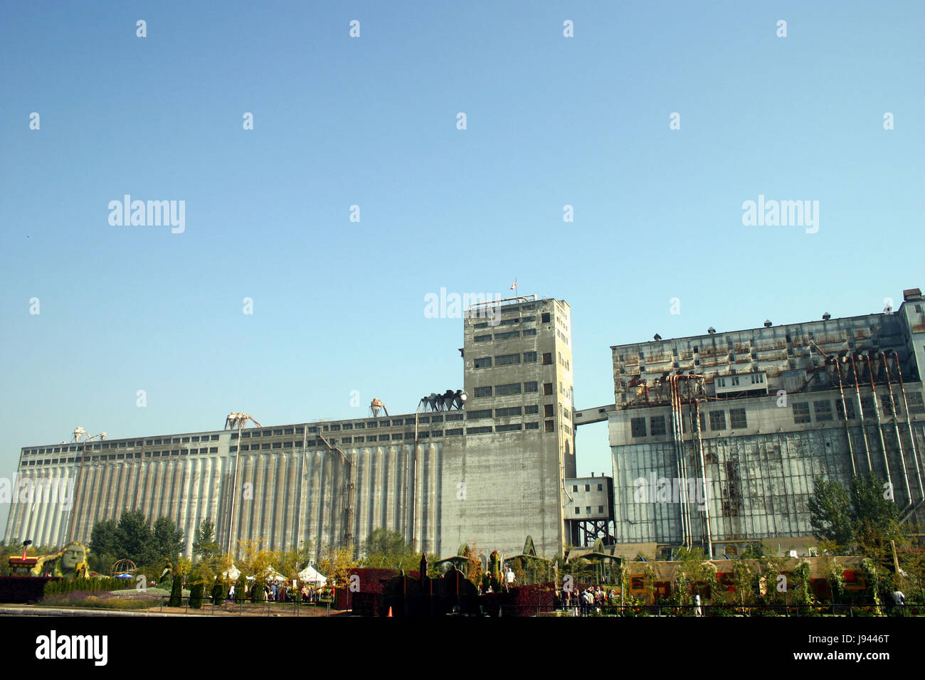 humans, human beings, people, folk, persons, human, human being, tower ...