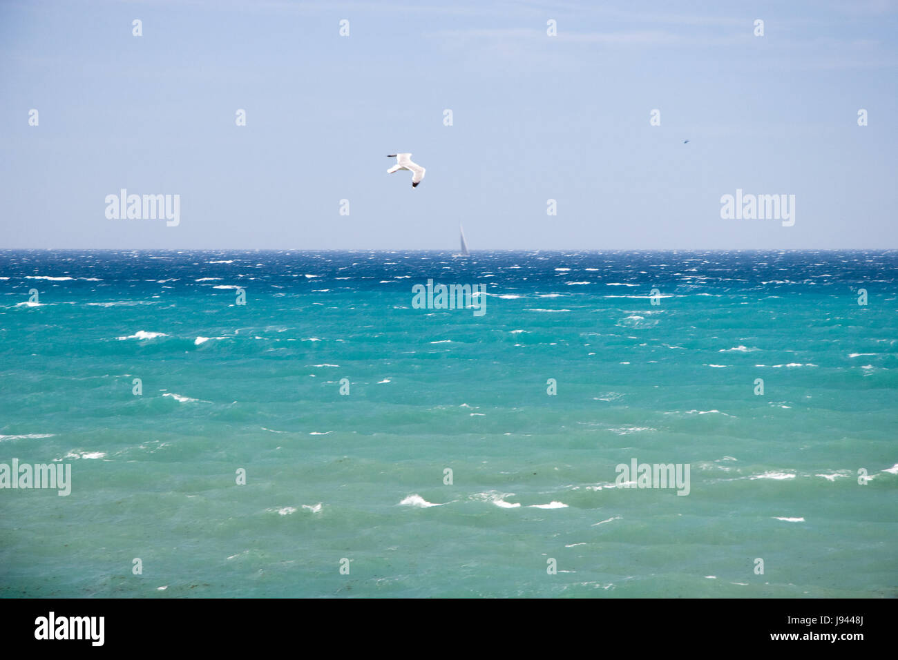 object, europe, water, mediterranean, salt water, sea, ocean, photo ...