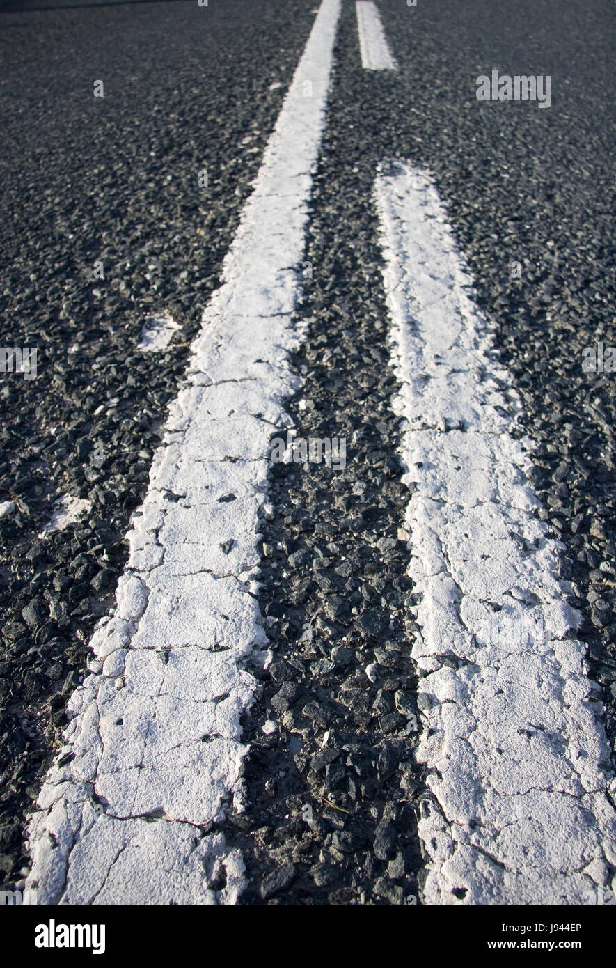 colour, closeup, summer, summerly, look, glancing, see, view, looking ...