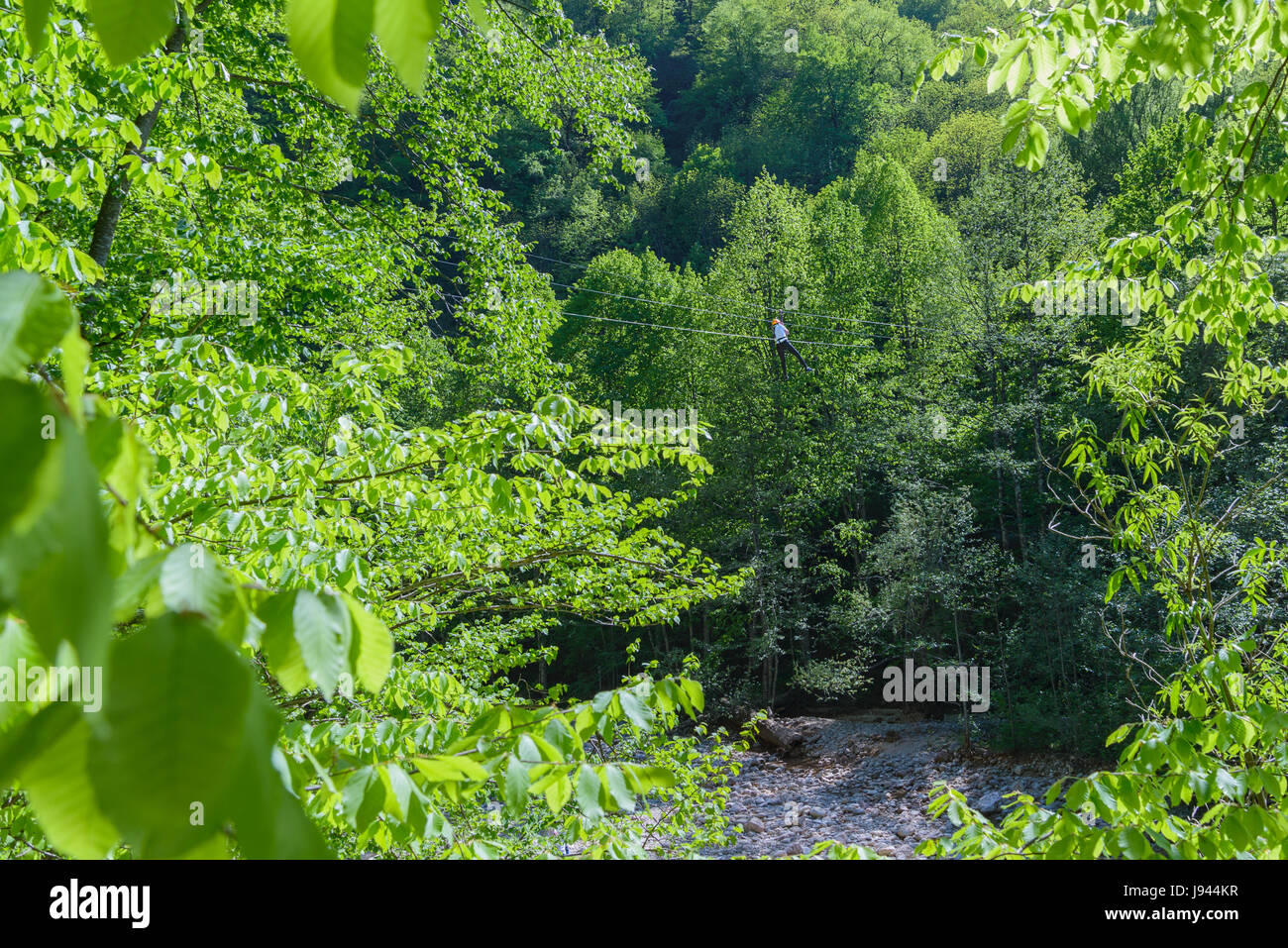 Tourist crossing a mountain gorge on a rope Stock Photo - Alamy