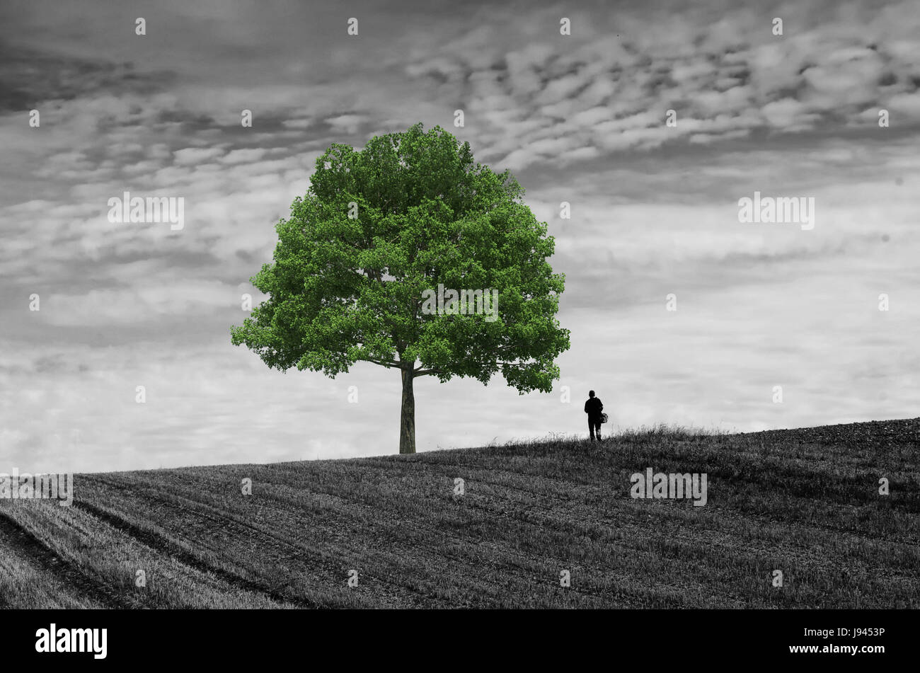 blue, humans, human beings, people, folk, persons, human, human being ...