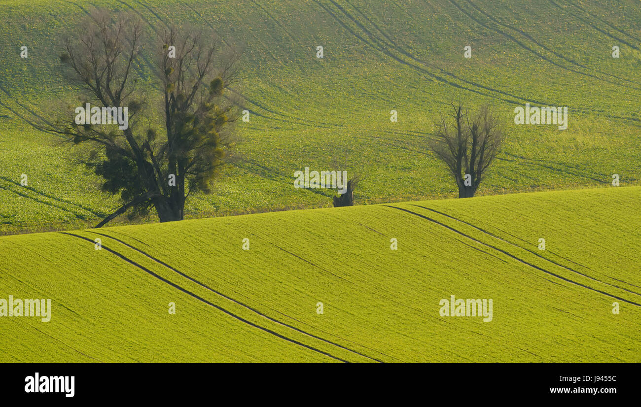 blue, environment, enviroment, colour, model, design, project, concept ...