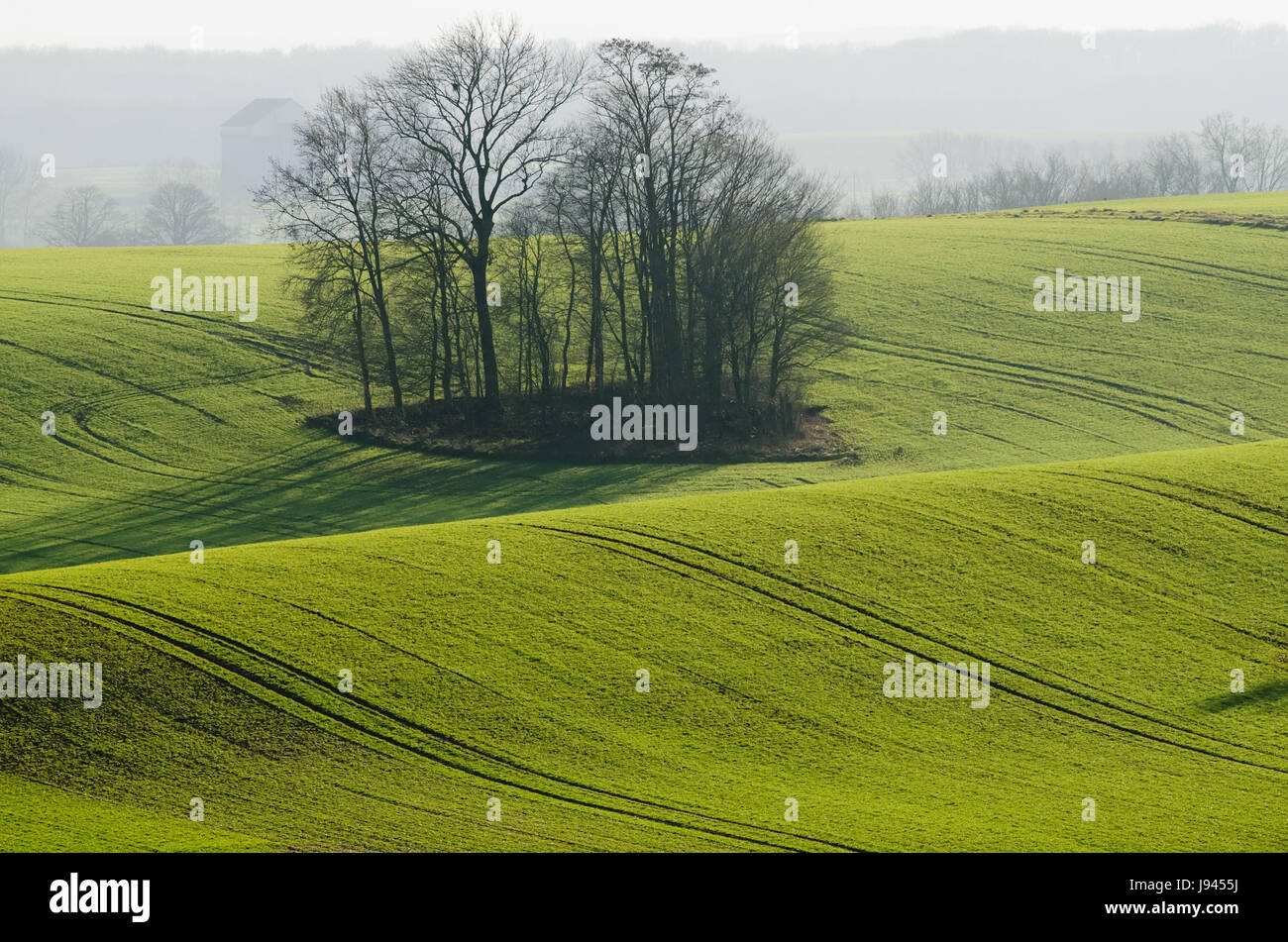 blue, environment, enviroment, colour, model, design, project, concept ...