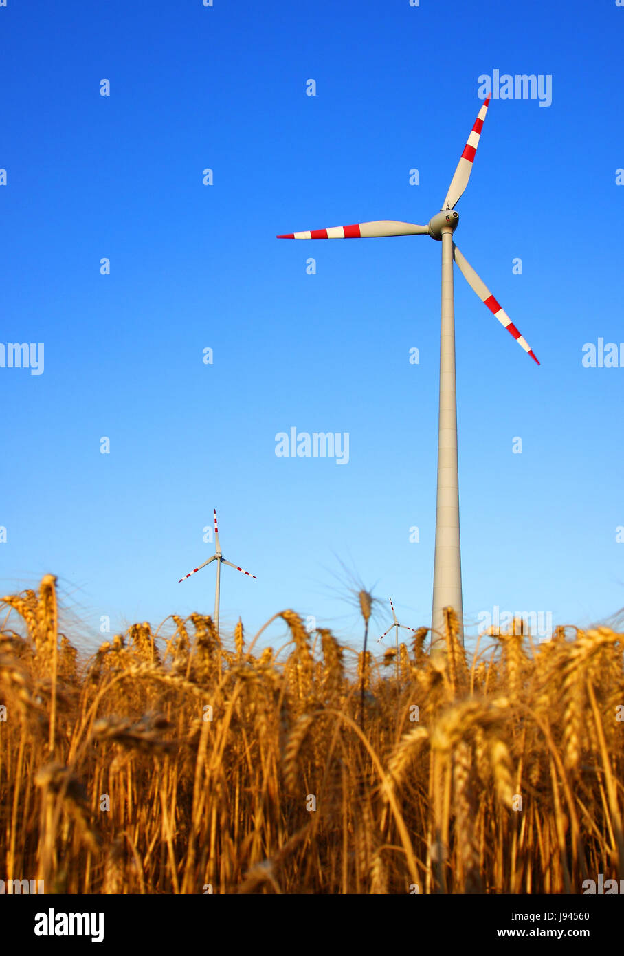 field, wind power station, wind force, wind energy, wind farm, pinwheel ...