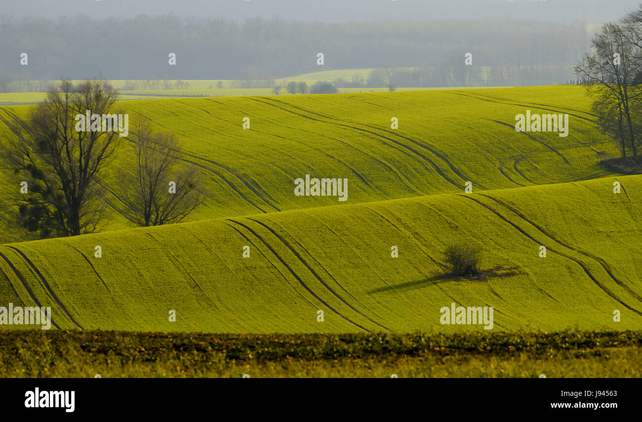 blue, environment, enviroment, colour, model, design, project, concept ...