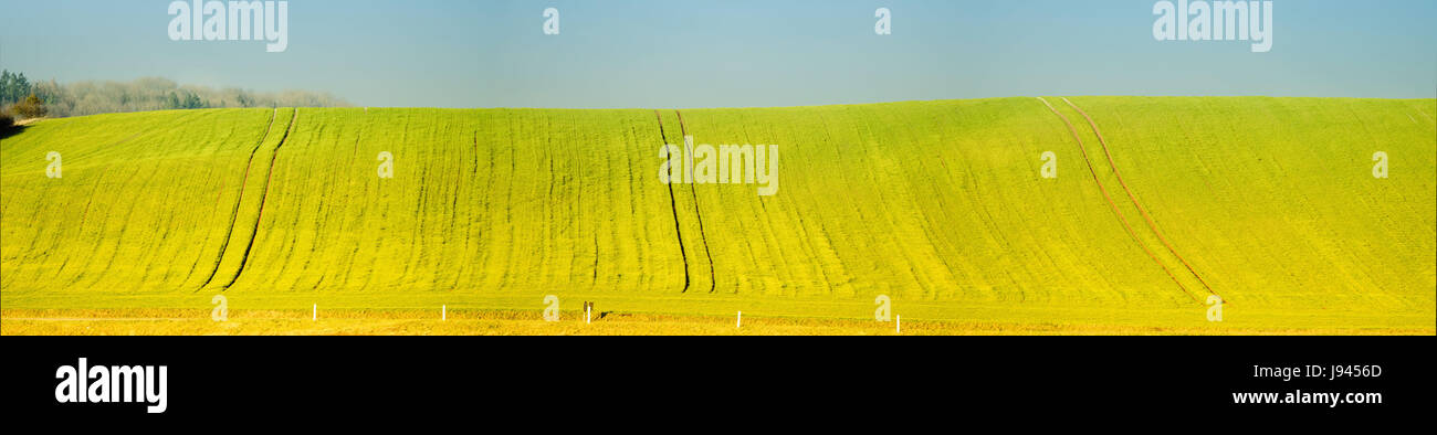 blue, environment, enviroment, colour, model, design, project, concept ...