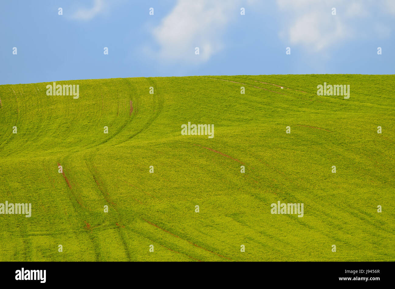 blue, environment, enviroment, colour, model, design, project, concept ...