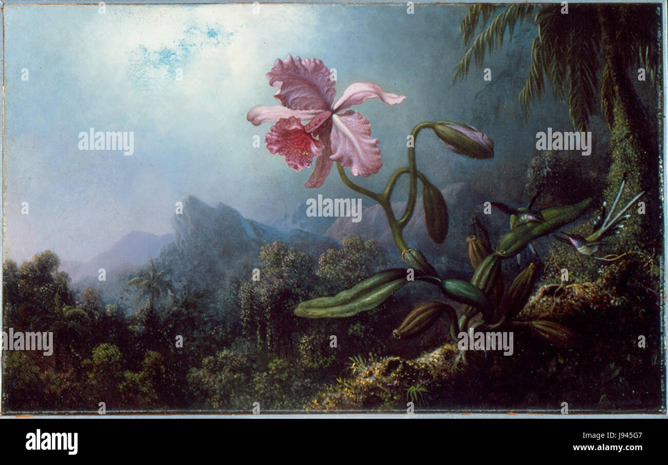 Martin Johnson Heade's *Two Hummingbirds with an Orchid*, painted in ...