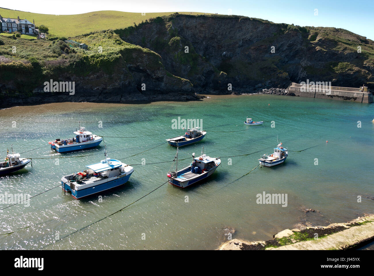 environment, enviroment, boat, martin, salt water, sea, ocean, water ...