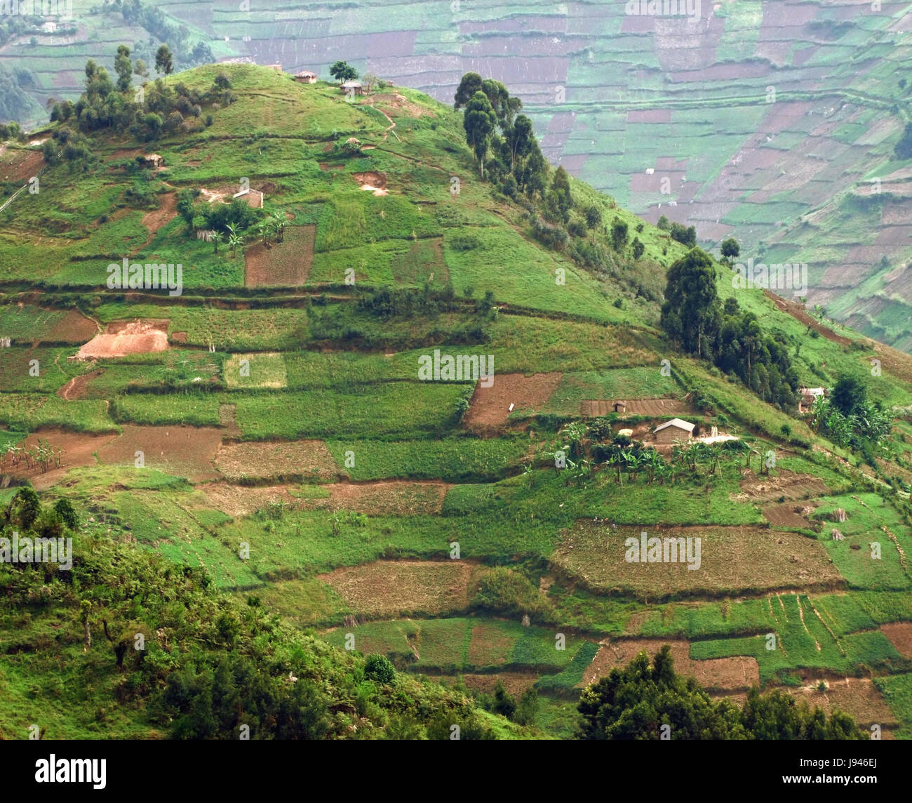 Virungaberge hi-res stock photography and images - Alamy