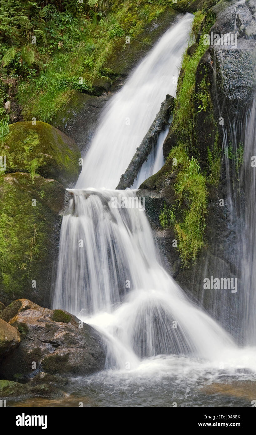idyllic triberg waterfalls Stock Photo - Alamy