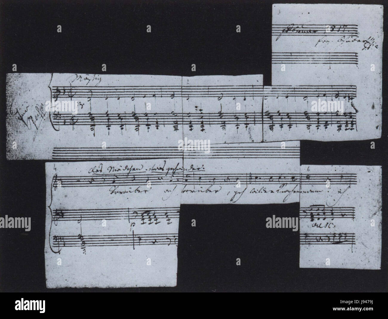 T&M refers to a specific term or entity that may need further ...