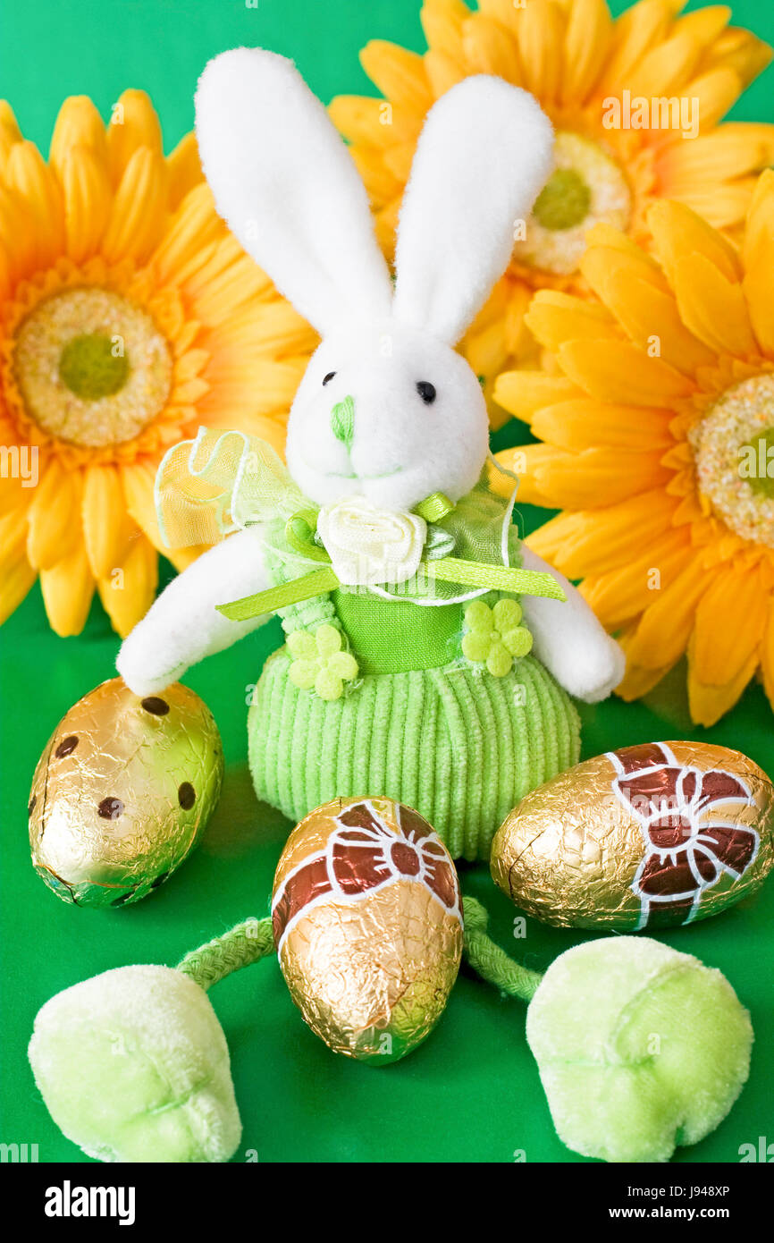 holiday, flower, flowers, plant, easter, party, celebration, bunny ...