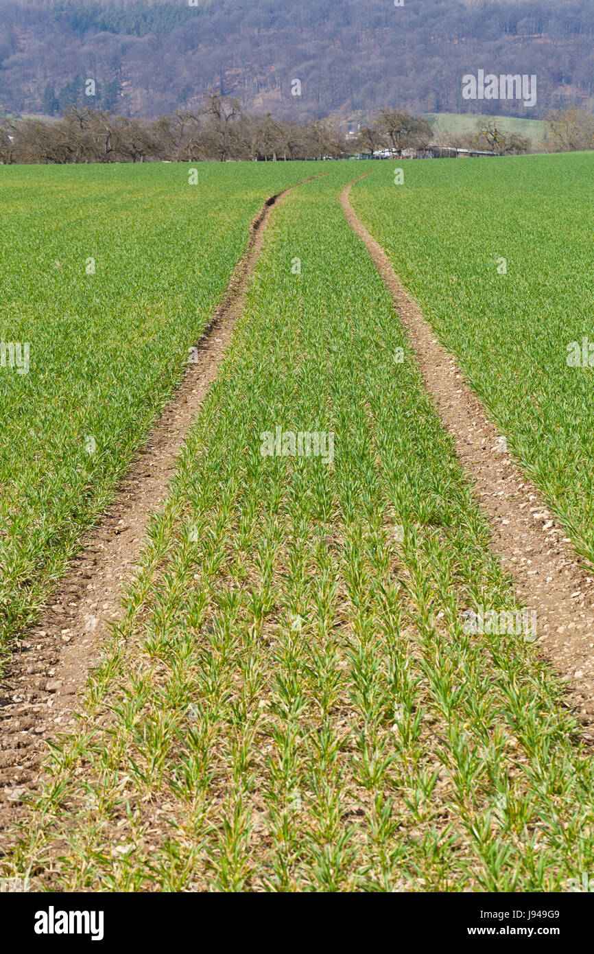 agriculture, farming, field, tractor, path, way, scenery, countryside ...