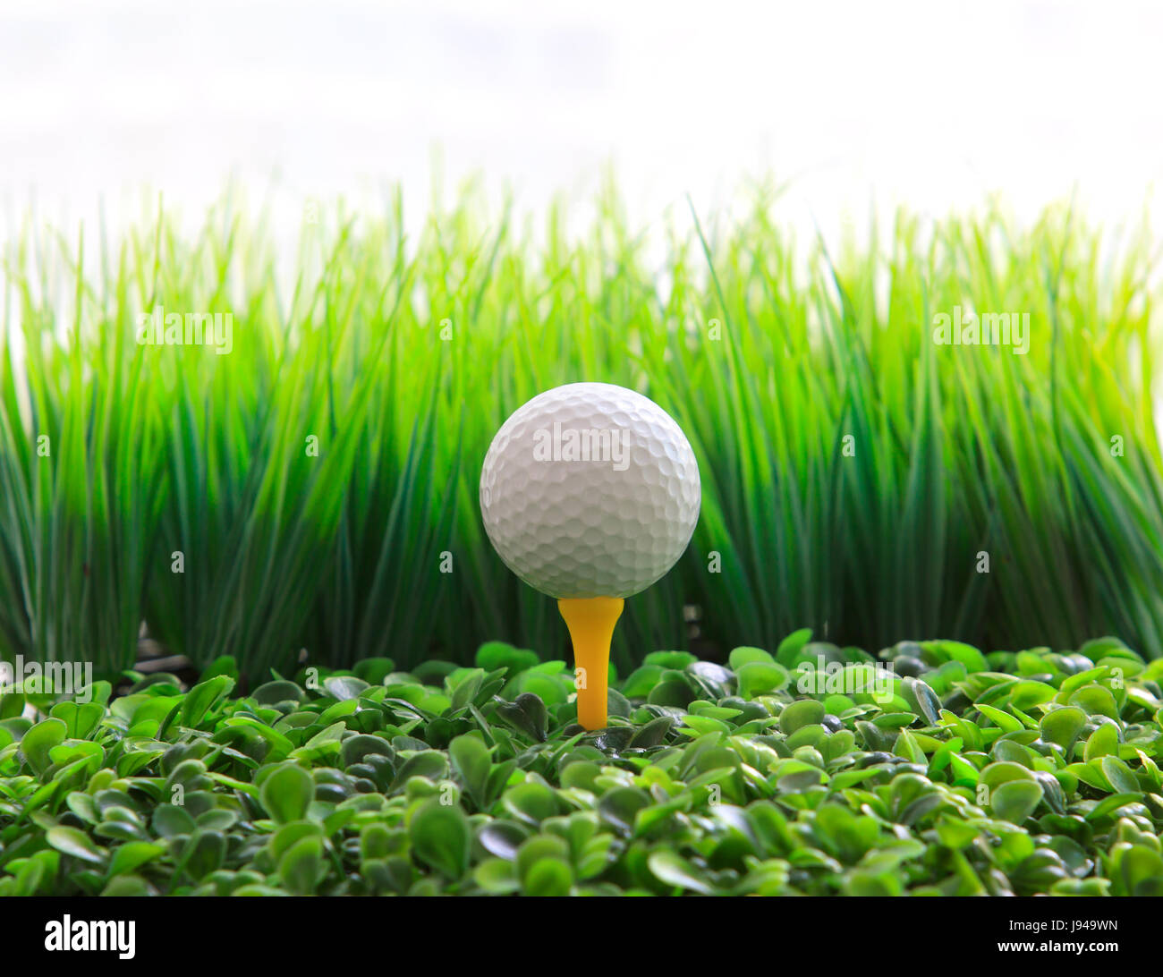 golf ball still life for sport Stock Photo - Alamy