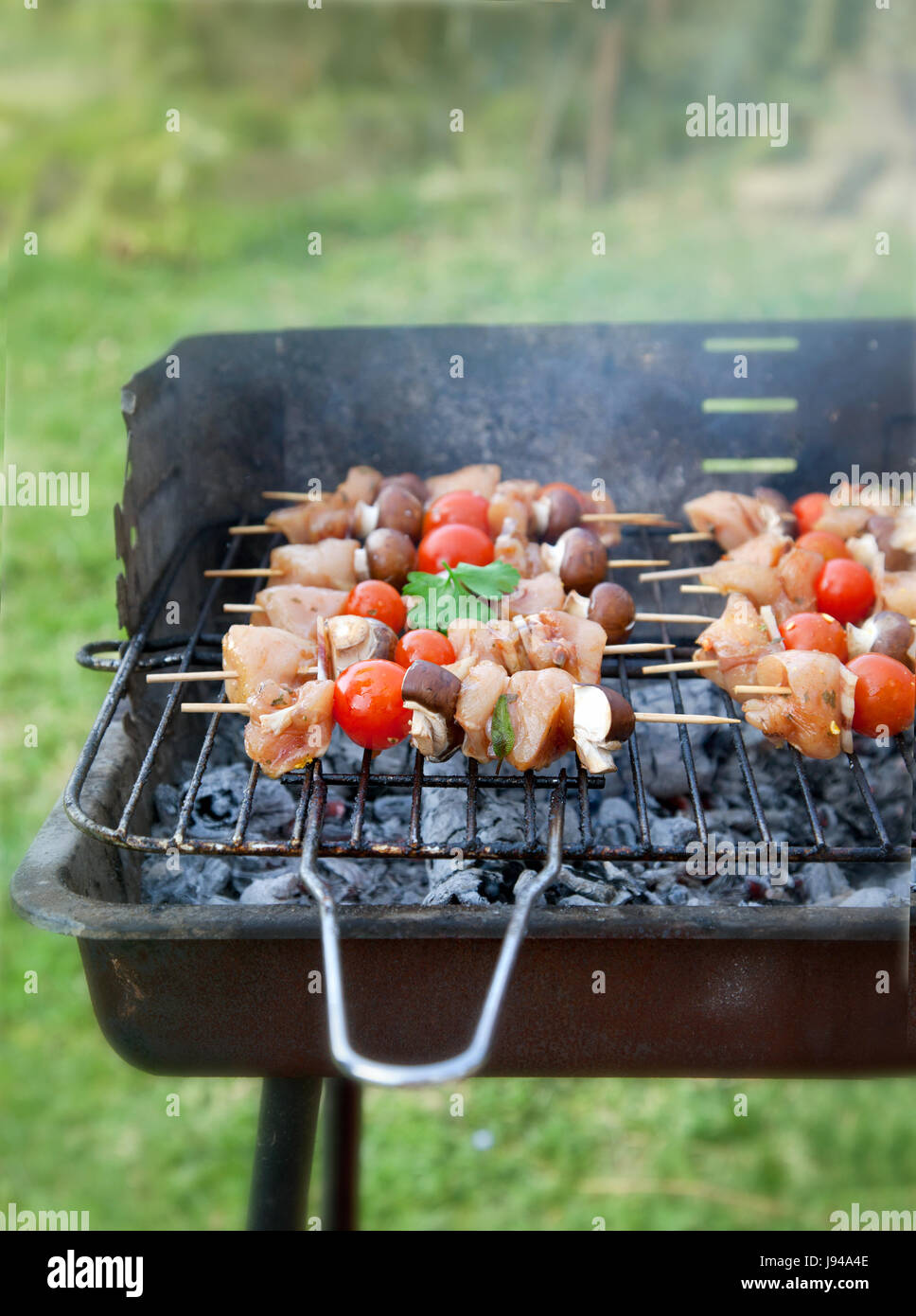 garden, spring, grill, barbecue, barbeque, bbq, bar-b-q, meat, healthy ...