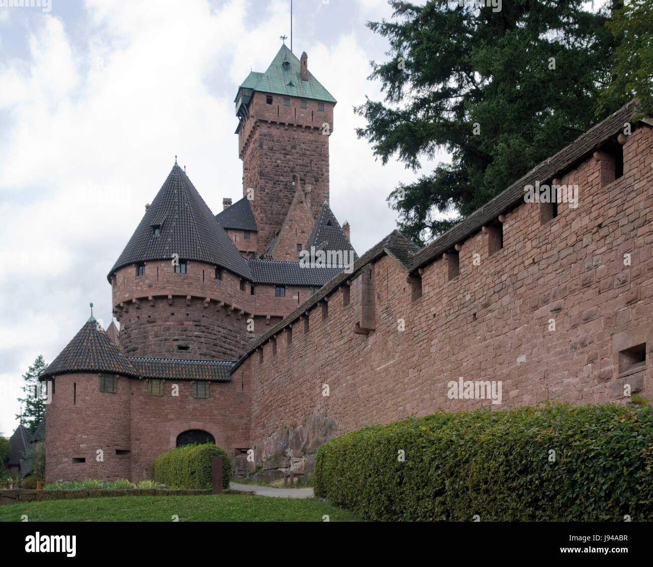 europe, alsace, hedge, strength, force, lawn, green, chateau, castle ...