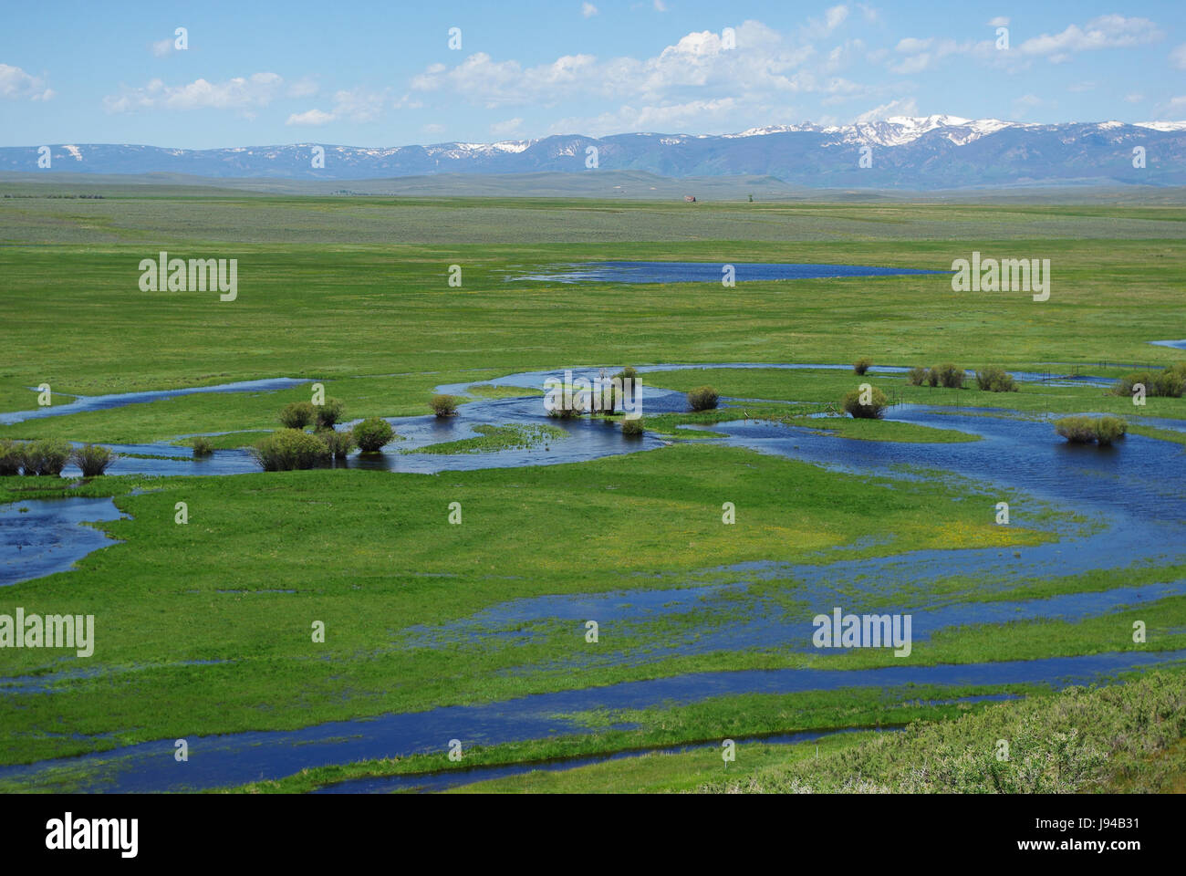 shrub, bush, plateau, meadow, grass, lawn, green, river, water, blue ...