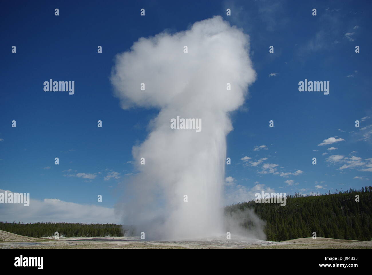 cloud, steam, conifer forest, firmament, sky, geyser, forest, blue ...