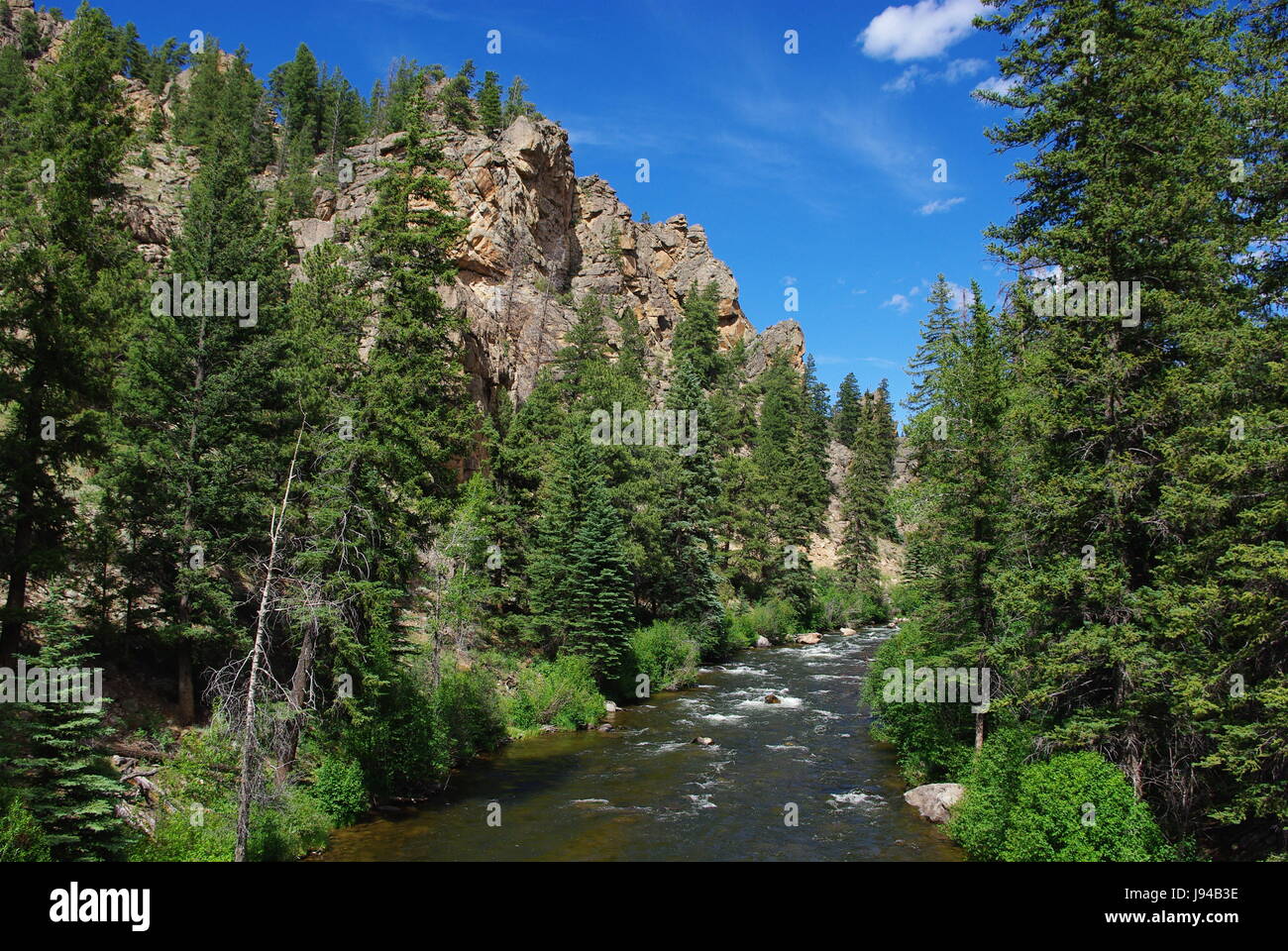 green, rock, conifer, conifer forest, forest, river, water, green, rock ...