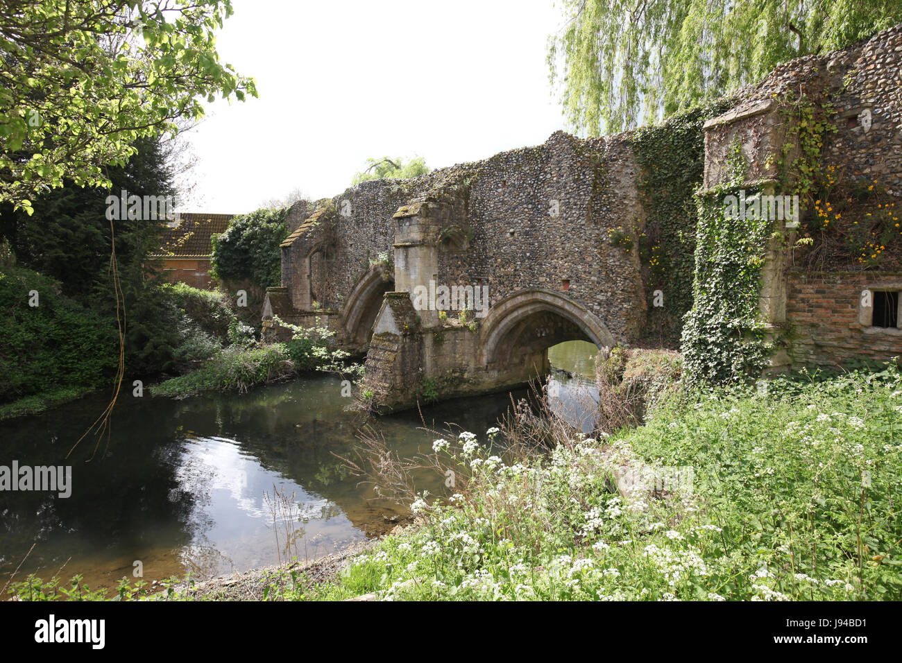Abbey Gardens, Bury St Edmunds, Suffolk Stock Photo - Alamy