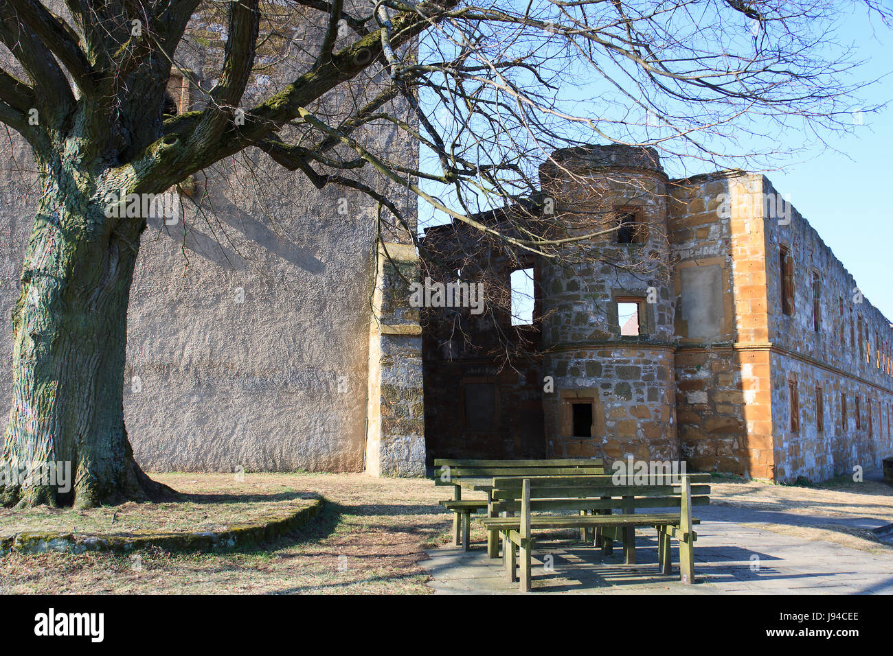 blue, tree, trees, bavaria, benches, ruins, seat, bench, chateau ...