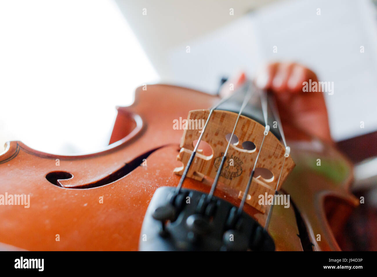 Musician playing violin Stock Photo - Alamy