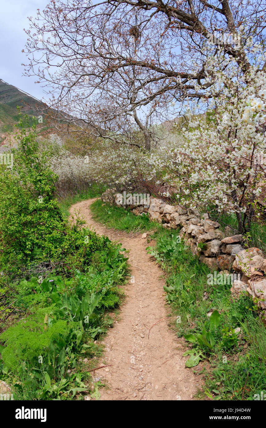 Walking through stone pathway hi-res stock photography and images - Alamy