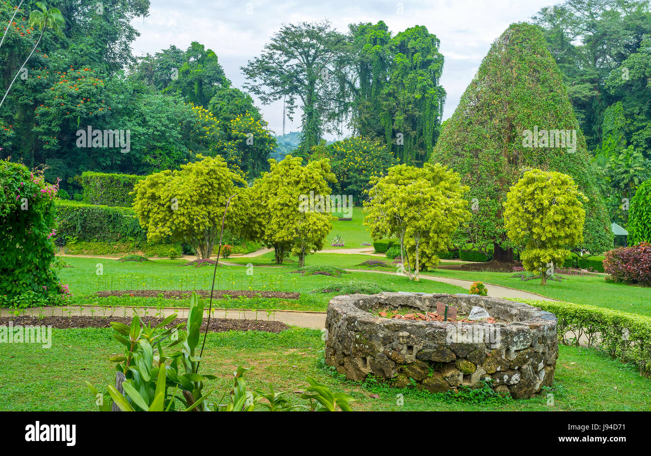 The best way to explore vegetation of Sri Lanka is to visit Royal ...