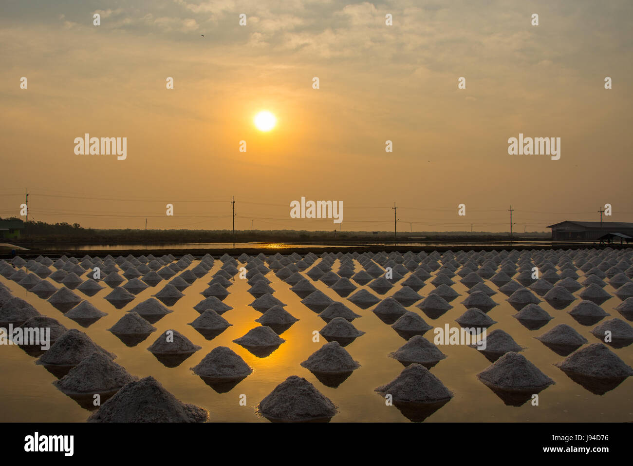 Heaps of salt prepared in salt farm in early morning Stock Photo - Alamy