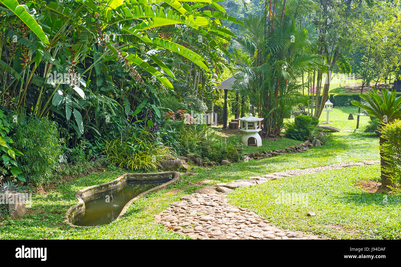 The cobbled road next to the jungle part of Royal Botanical Garden in ...