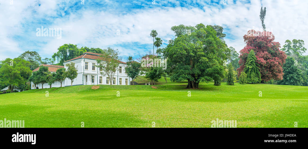 Peradeniya botanical garden hi-res stock photography and images - Alamy