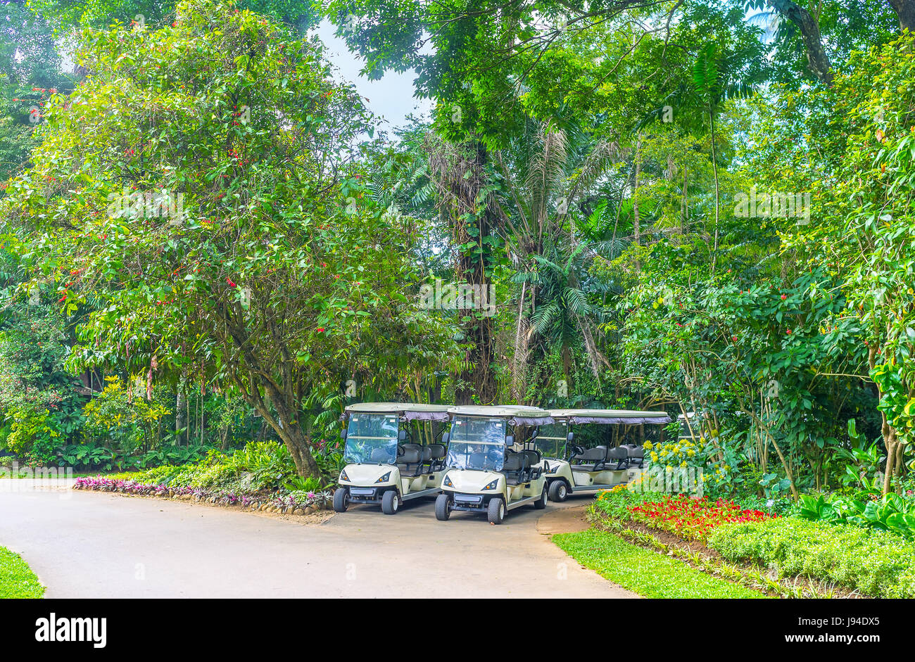 Buses are very popular transport in Royal Botanical Garden because it ...