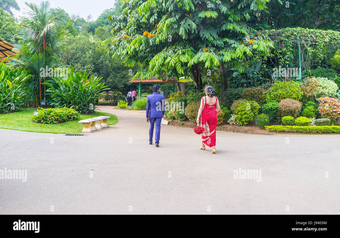 Asia sri lanka kandy bride hi-res stock photography and images - Alamy