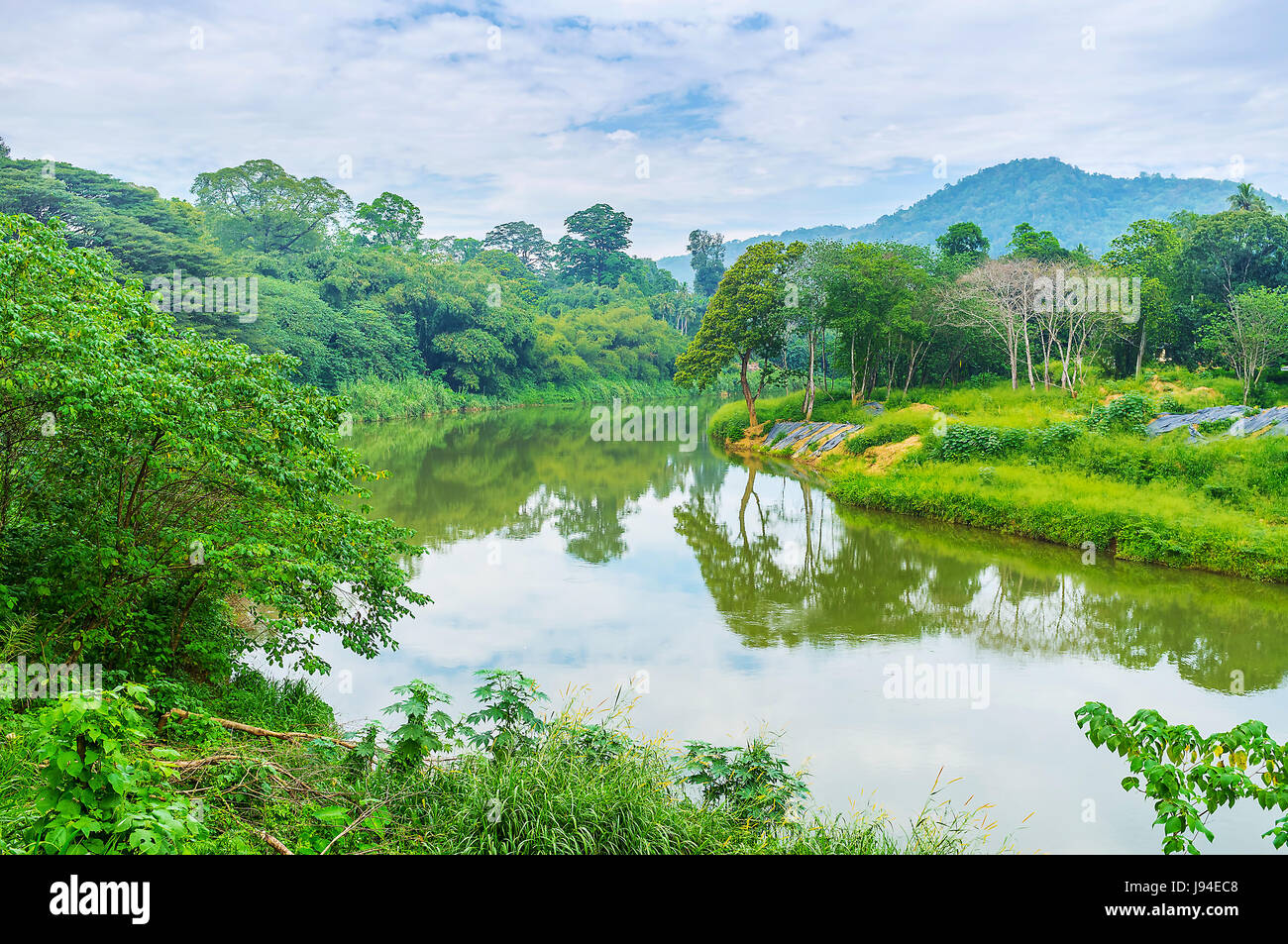 Beautiful landscape with Mahaweli river and tropic greenery on its ...