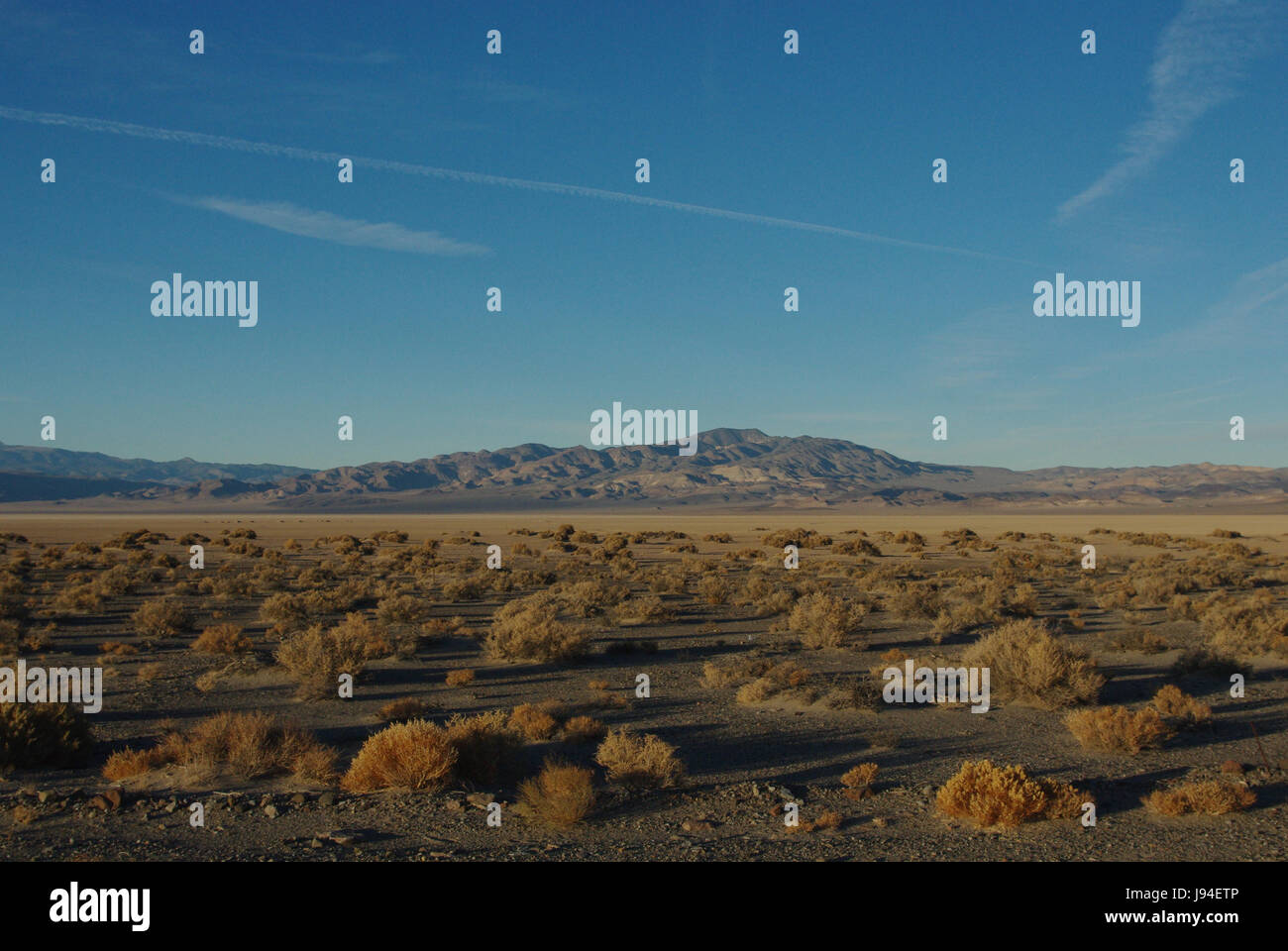 Shrub wide open mountain hi-res stock photography and images - Alamy