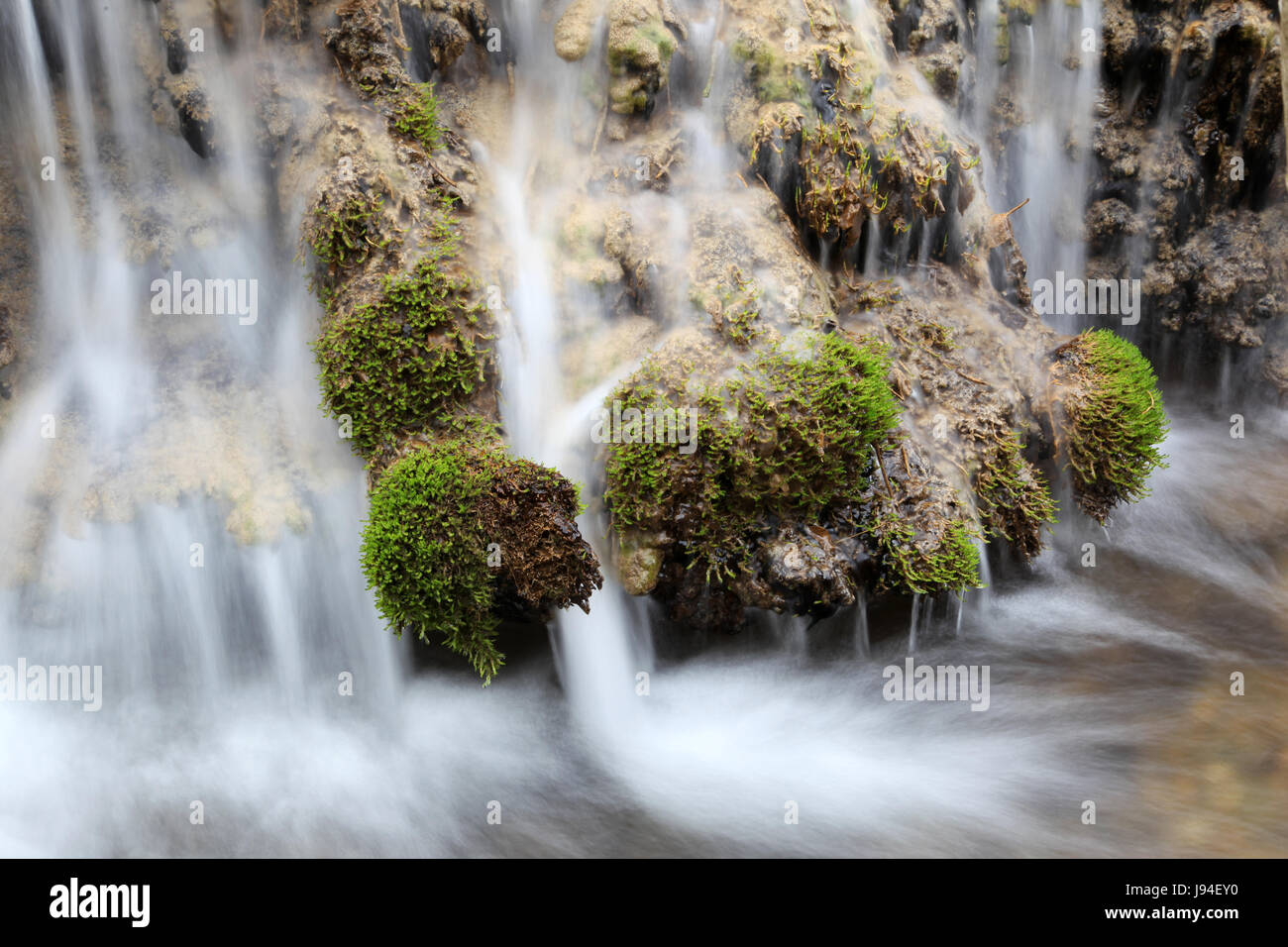 environment, enviroment, relaxation, flow, garden, conservation of ...