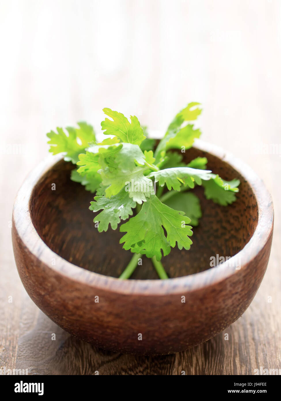 leaves, aromatic, chinese, herb, parsley, coriander, ingredient ...