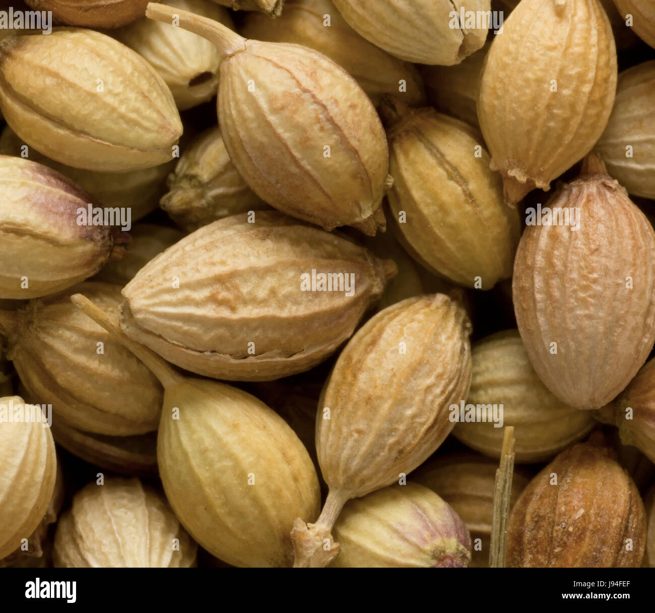 aromatic, boil, cooks, boiling, cooking, dried, spices, emblements ...