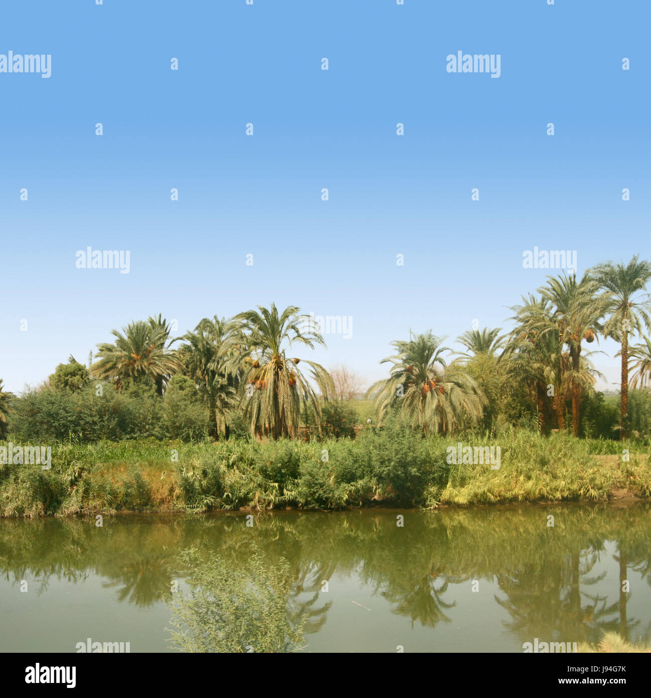 summer, summerly, egypt, landscape, scenery, countryside, nature, lawn ...