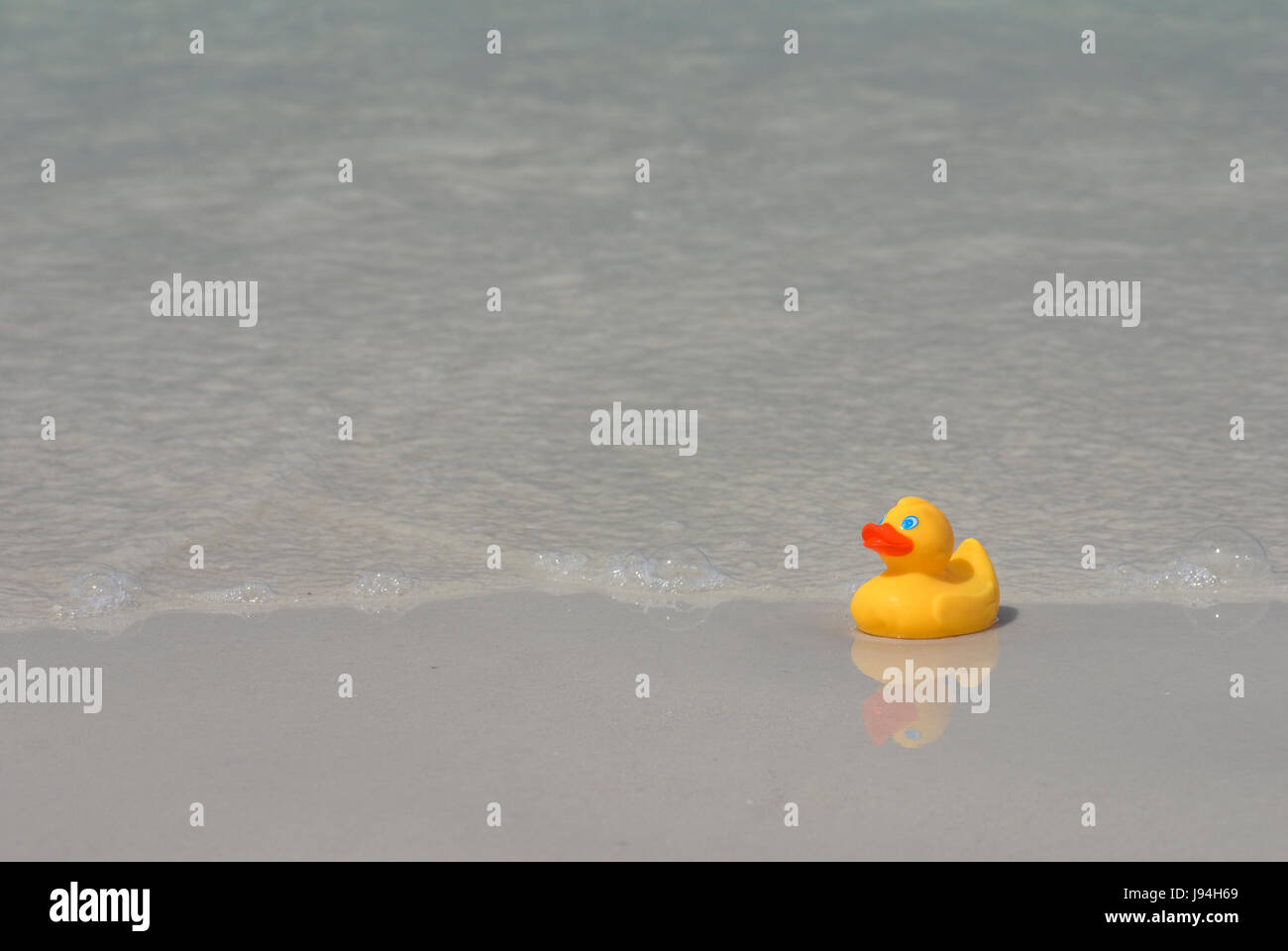 beach, seaside, the beach, seashore, duck, rubber, salt water, sea ...