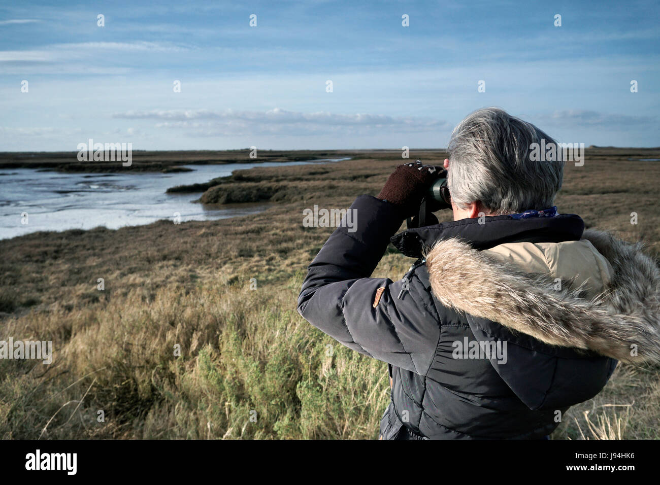 women bird watching brancaster north norfolk england Stock Photo - Alamy