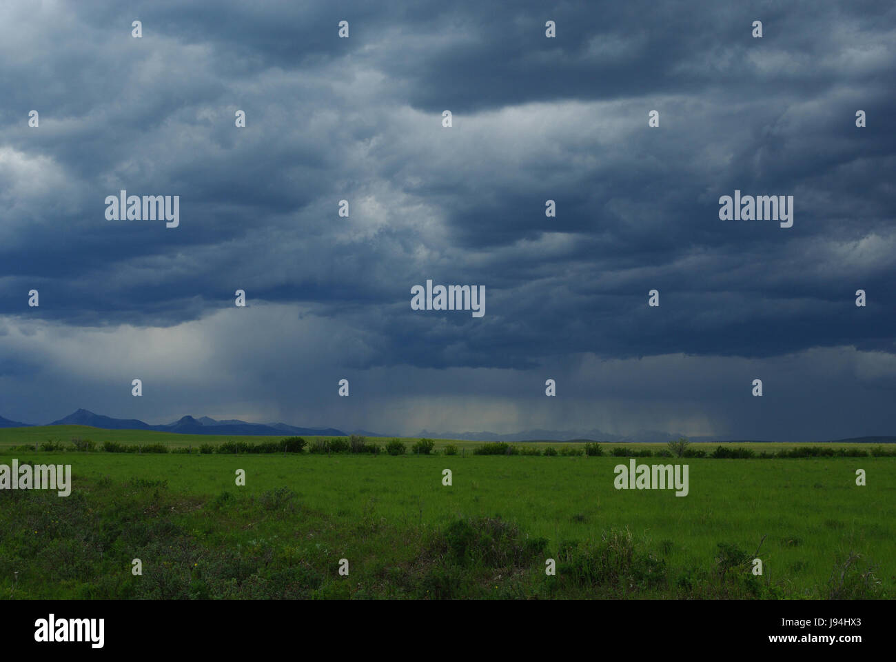 green, cloud, steppe, mountain range, mountain, grey, gray, storm, gale ...